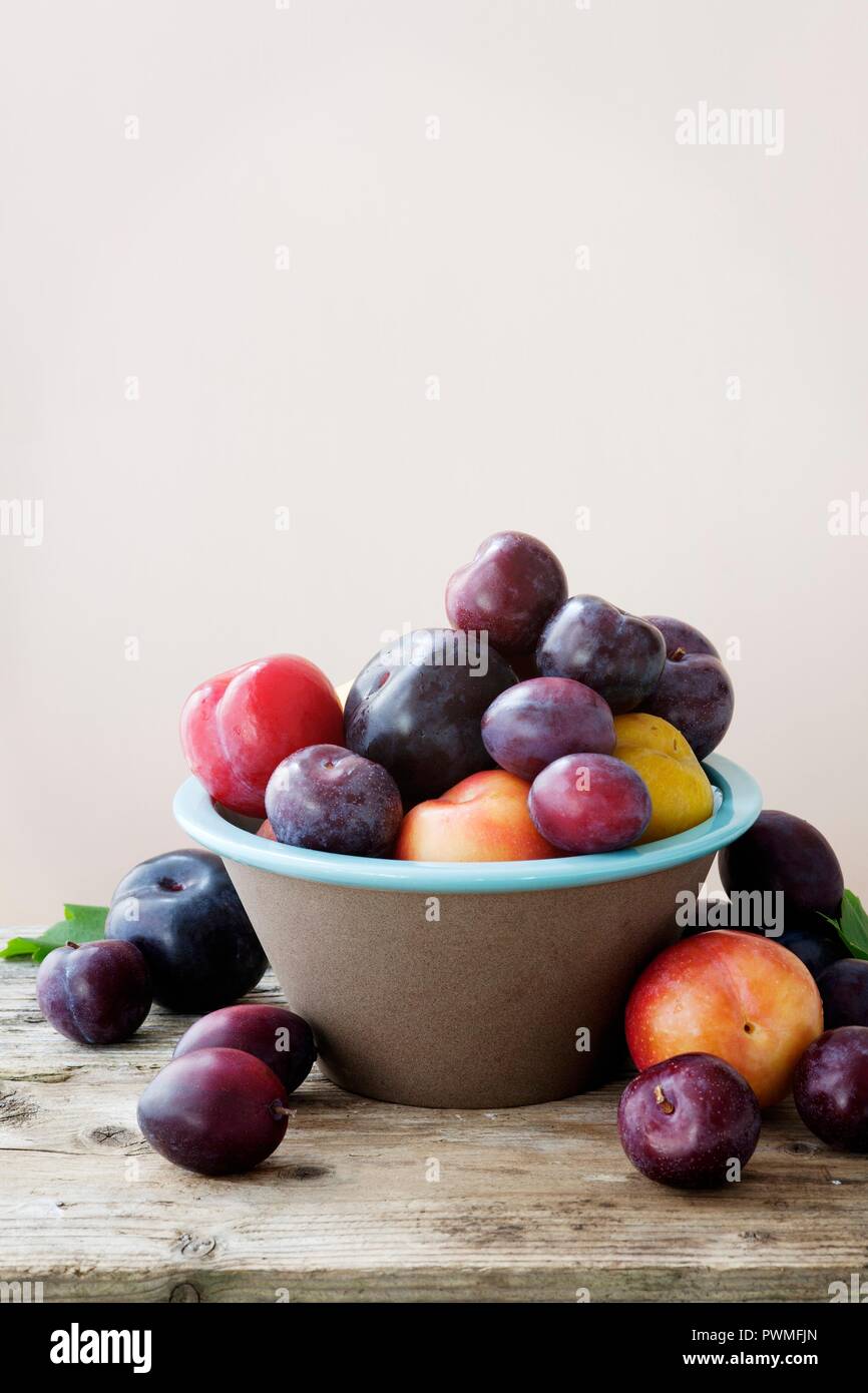 Peach colour hi-res stock photography and images - Alamy