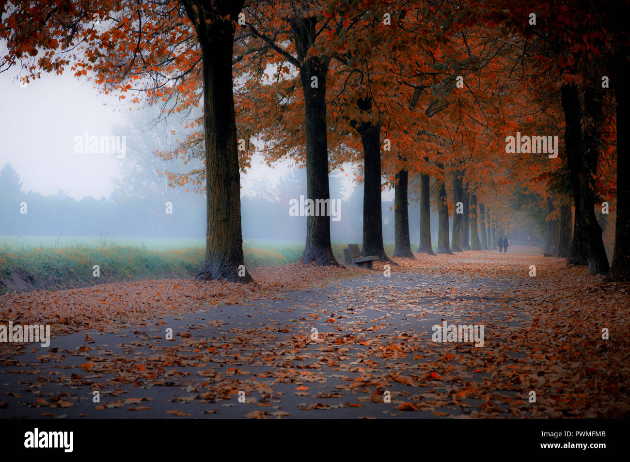 Colorful autumn panoramas yellow hi-res stock photography and images ...