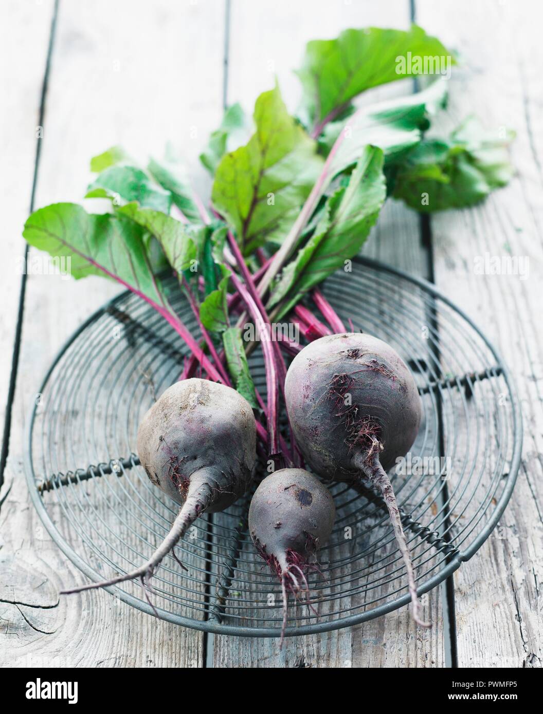 Beetroot with leaves Stock Photo - Alamy