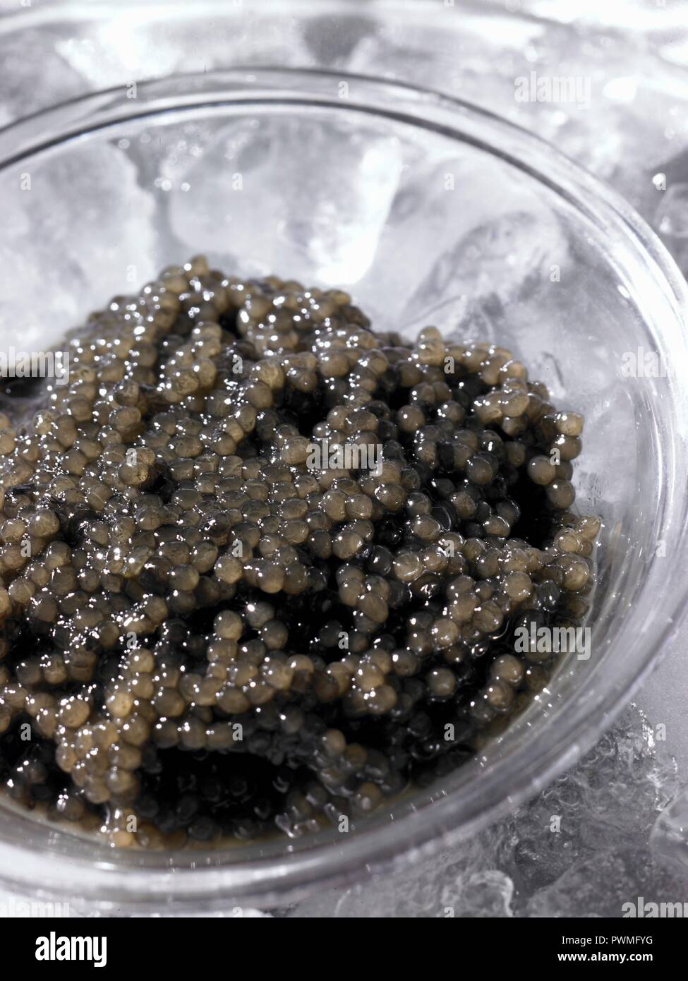 Black Caviar Photos High Resolution Stock Photography and Images - Alamy