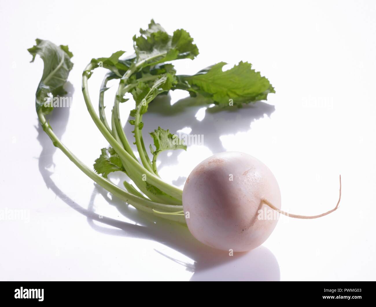 White turnip hi-res stock photography and images - Alamy