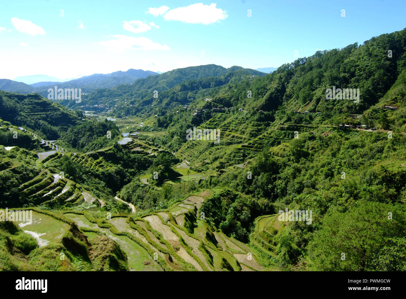 Rice terraces in the Philippines. The village is in a valley among the ...