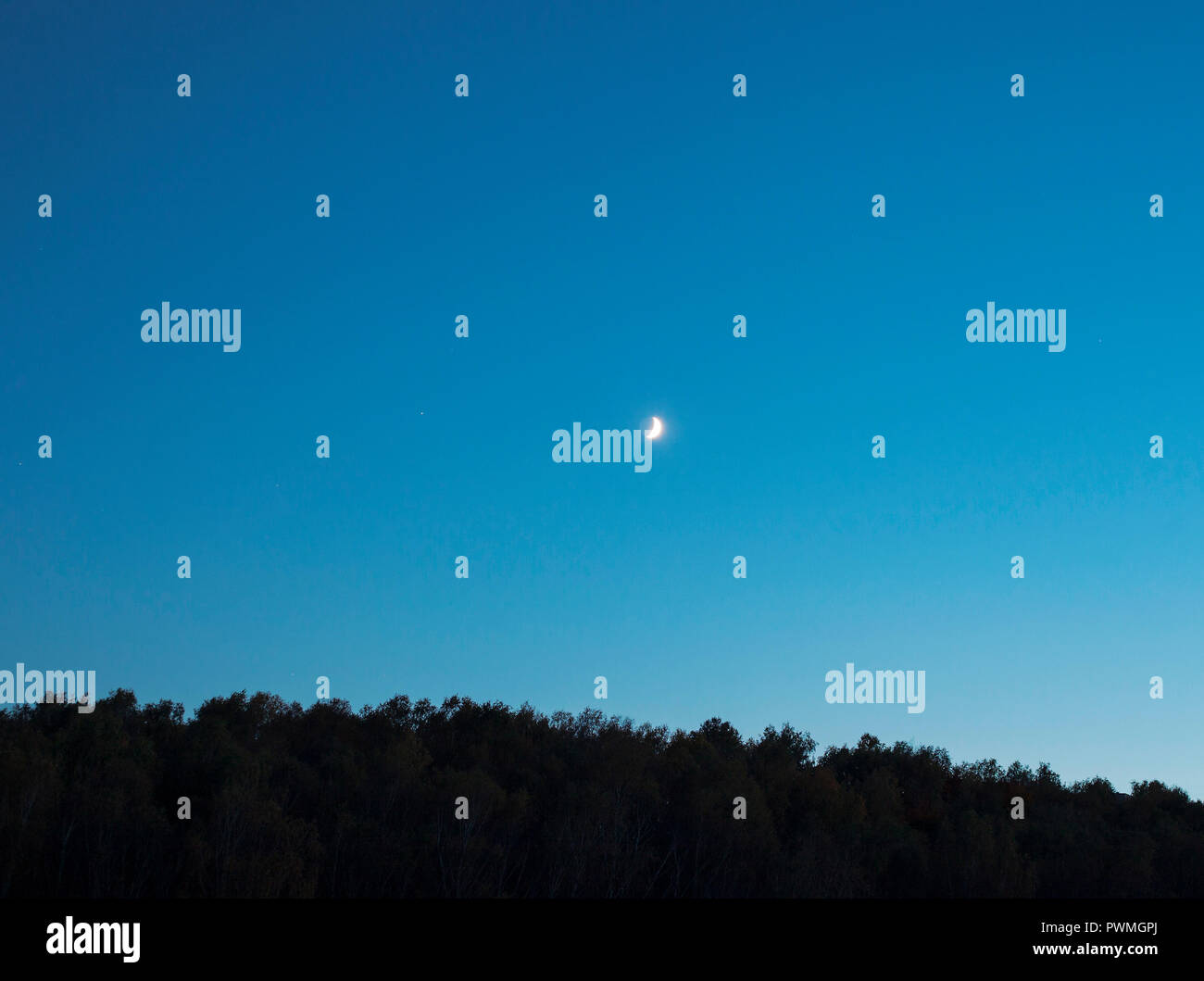 Crescent moon in night sky over dark silhouette of forest. Solar ...