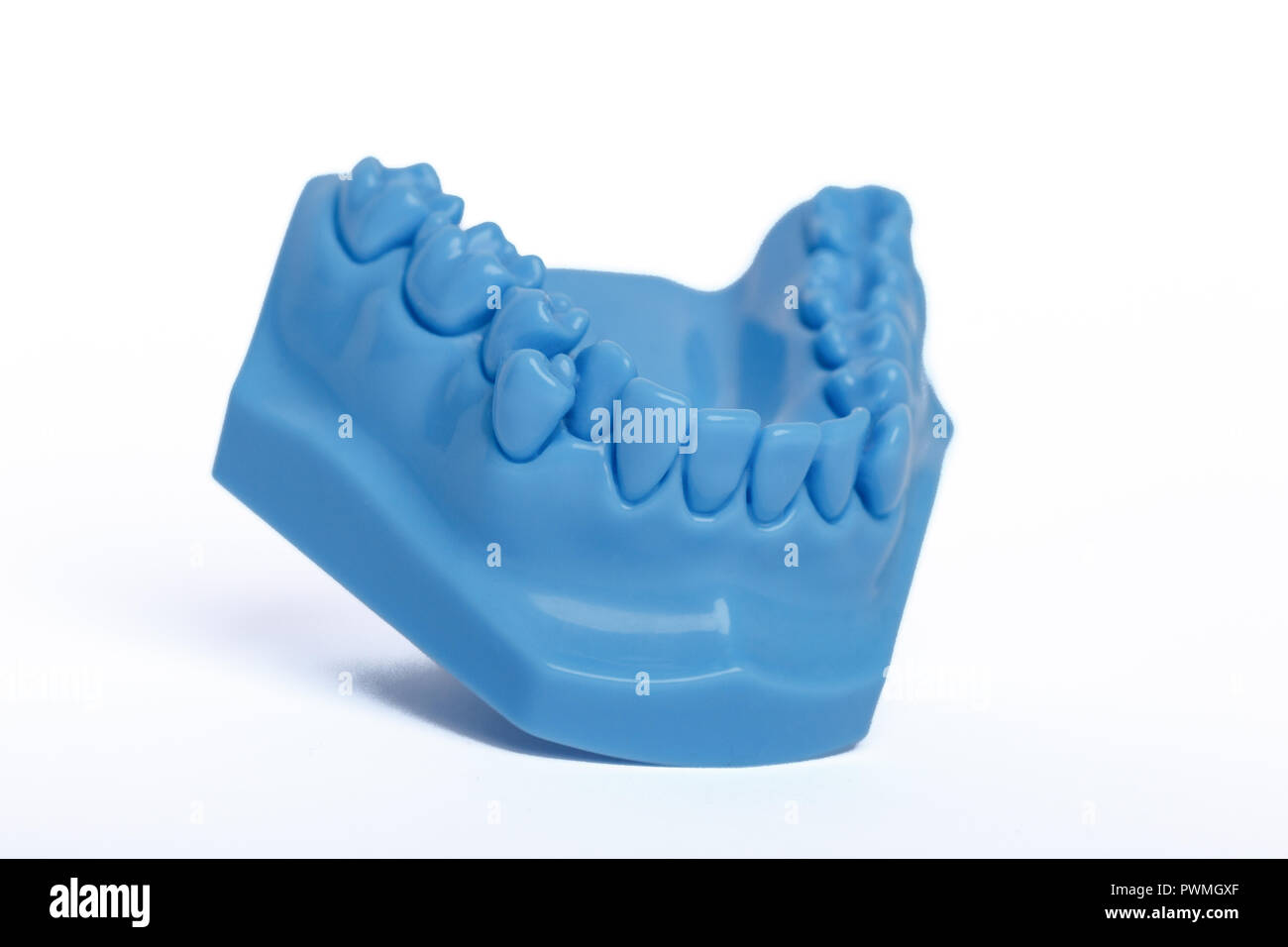 Blue Orthodontic Teeth Model used in dentistry for demonstration and ...