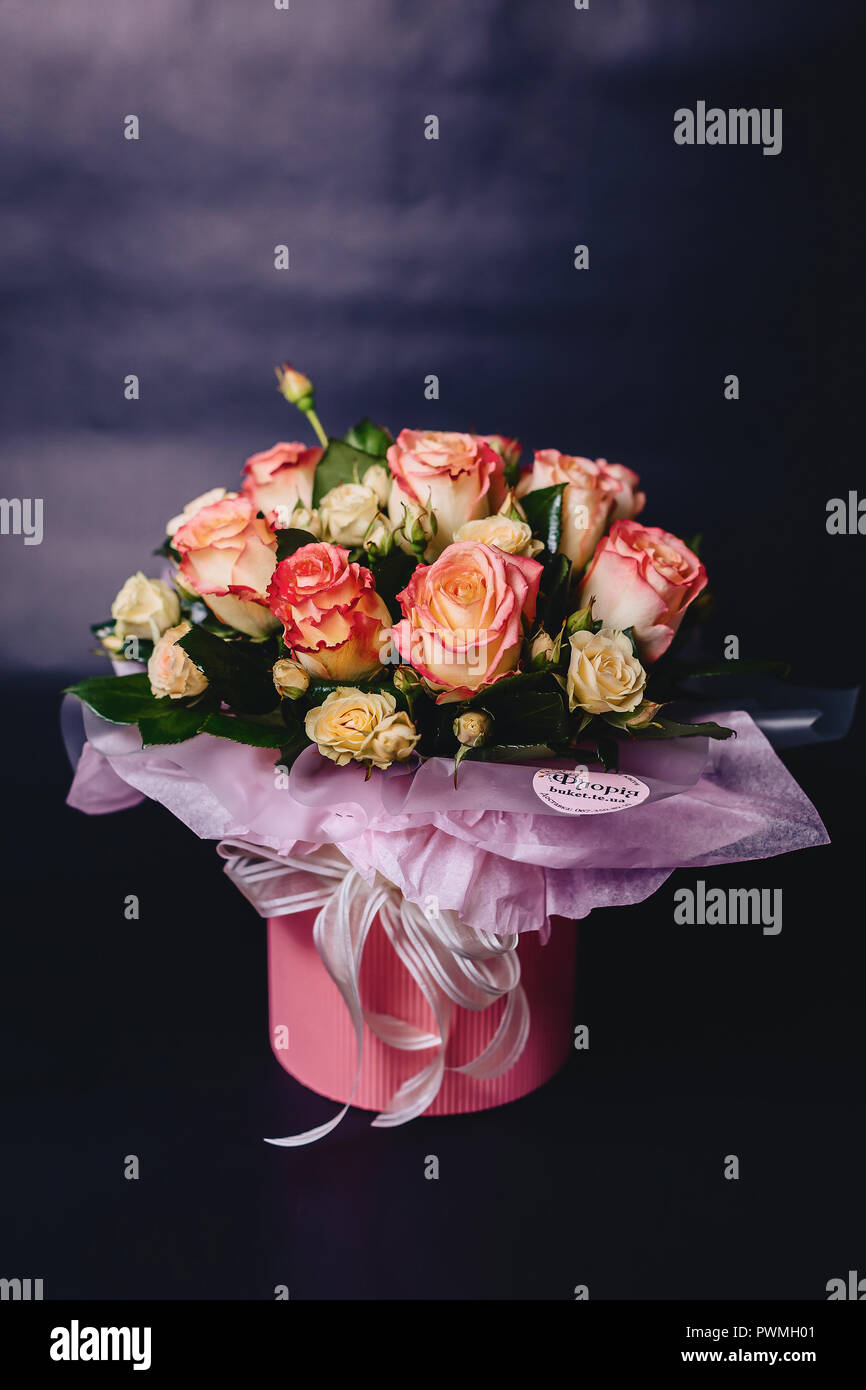 Rosa cabaret hi-res stock photography and images - Alamy