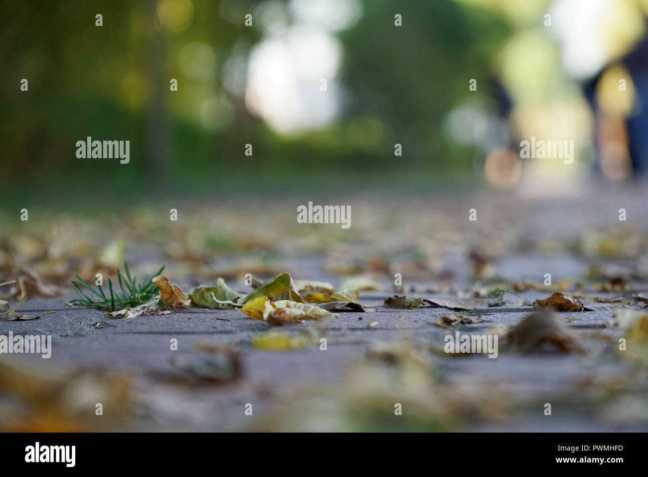 4k fall colors hi-res stock photography and images - Alamy