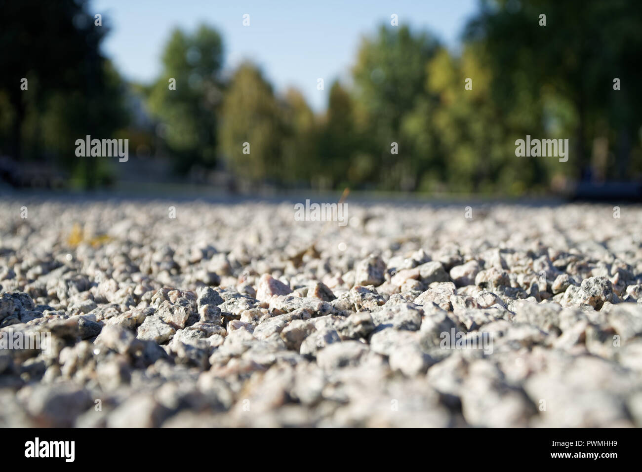 Pebble Footpath with shadows of tree, good weather Stock Photo - Alamy