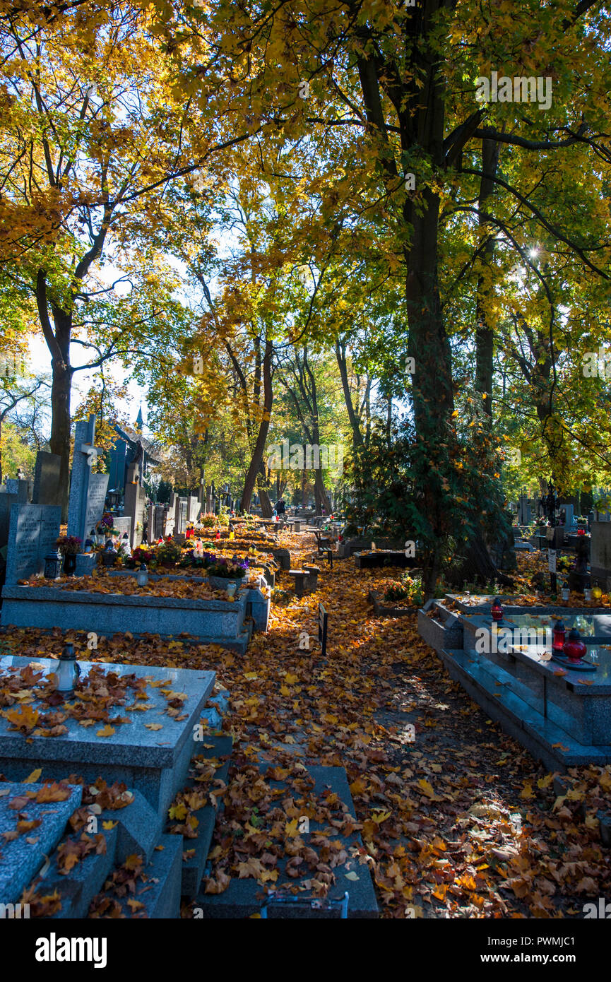 Brodno cemetery hi-res stock photography and images - Alamy
