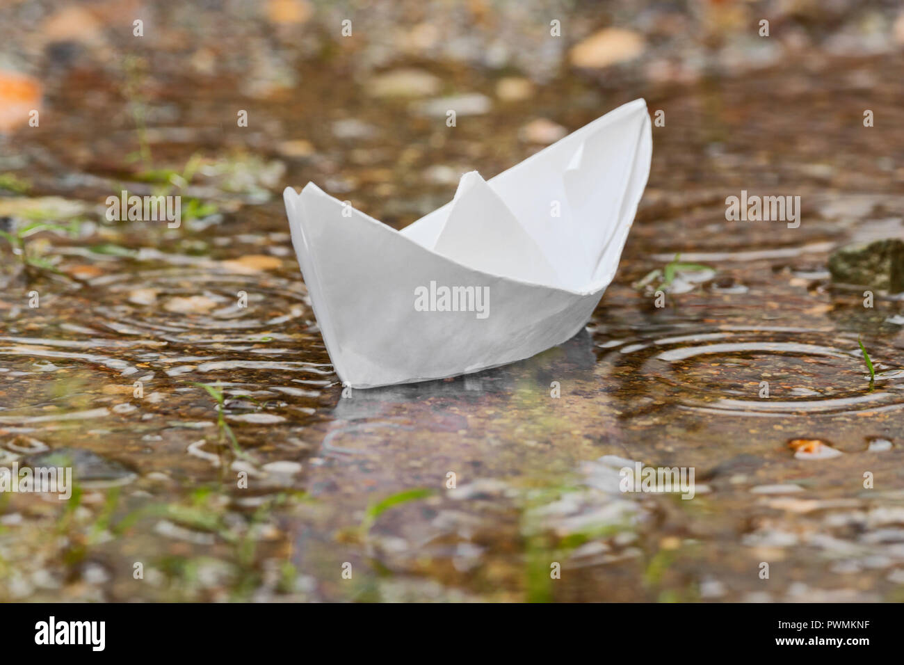 Paper boat in puddle after heavy tropical rain in rainy season monsoon ...