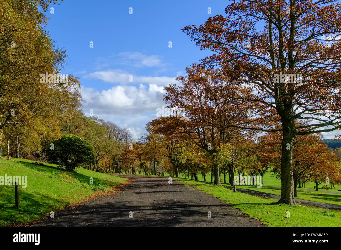 Beautiful Autumnal Colours in Bellahouston Park which is a public park ...
