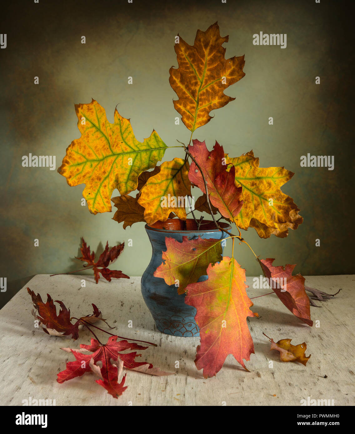 Beautiful oak tree branch with yellow and green leaves hi-res stock ...