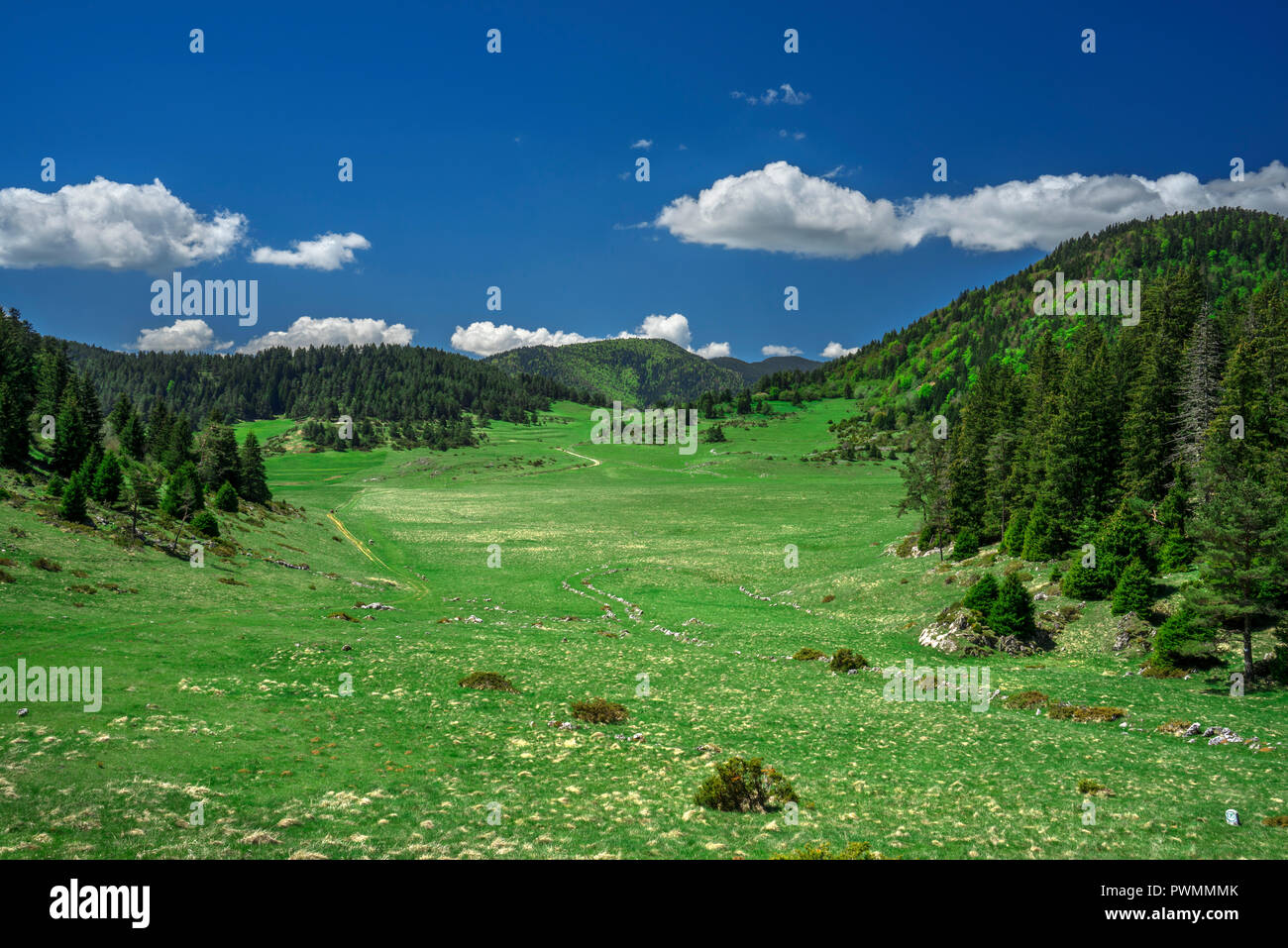 France , Aude, Pays de Sault, Pla du Boum, on the heights of Comus ...
