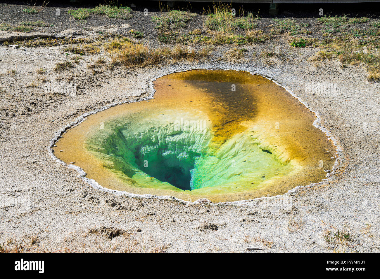 USA, Wyoming, Yellowstone National Park, Belgian Pool, UNESCO World ...