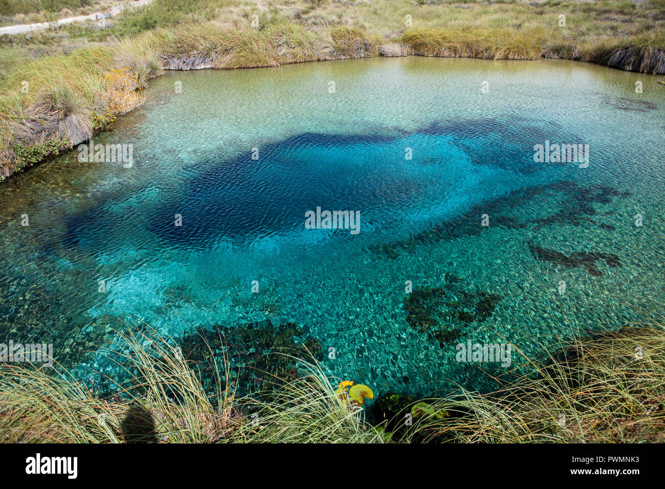 Cuatro cienegas coahuila hi-res stock photography and images - Alamy