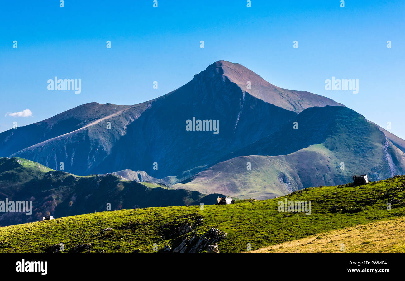 Common mountain bird hi-res stock photography and images - Alamy