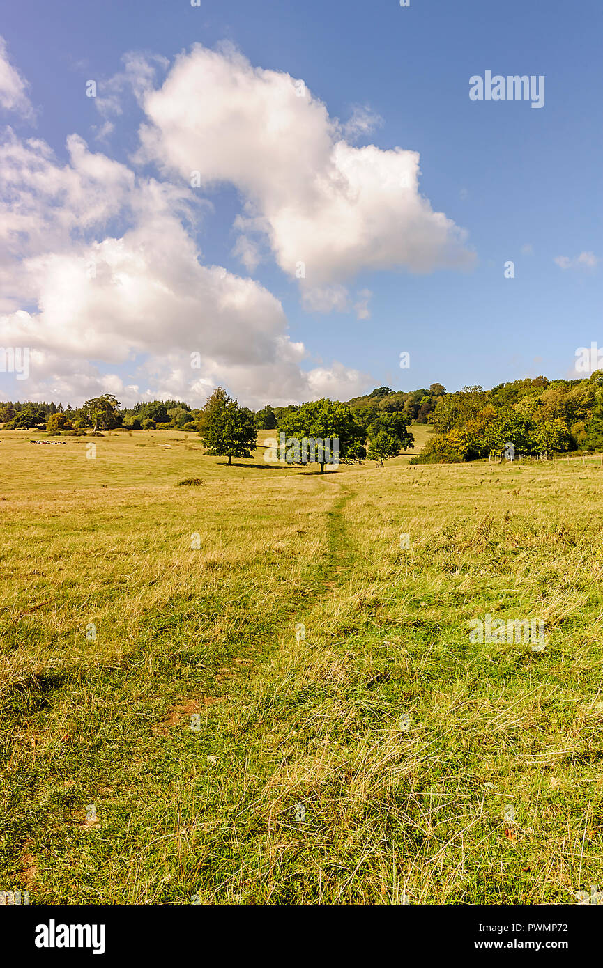 Lighten sun hi-res stock photography and images - Alamy