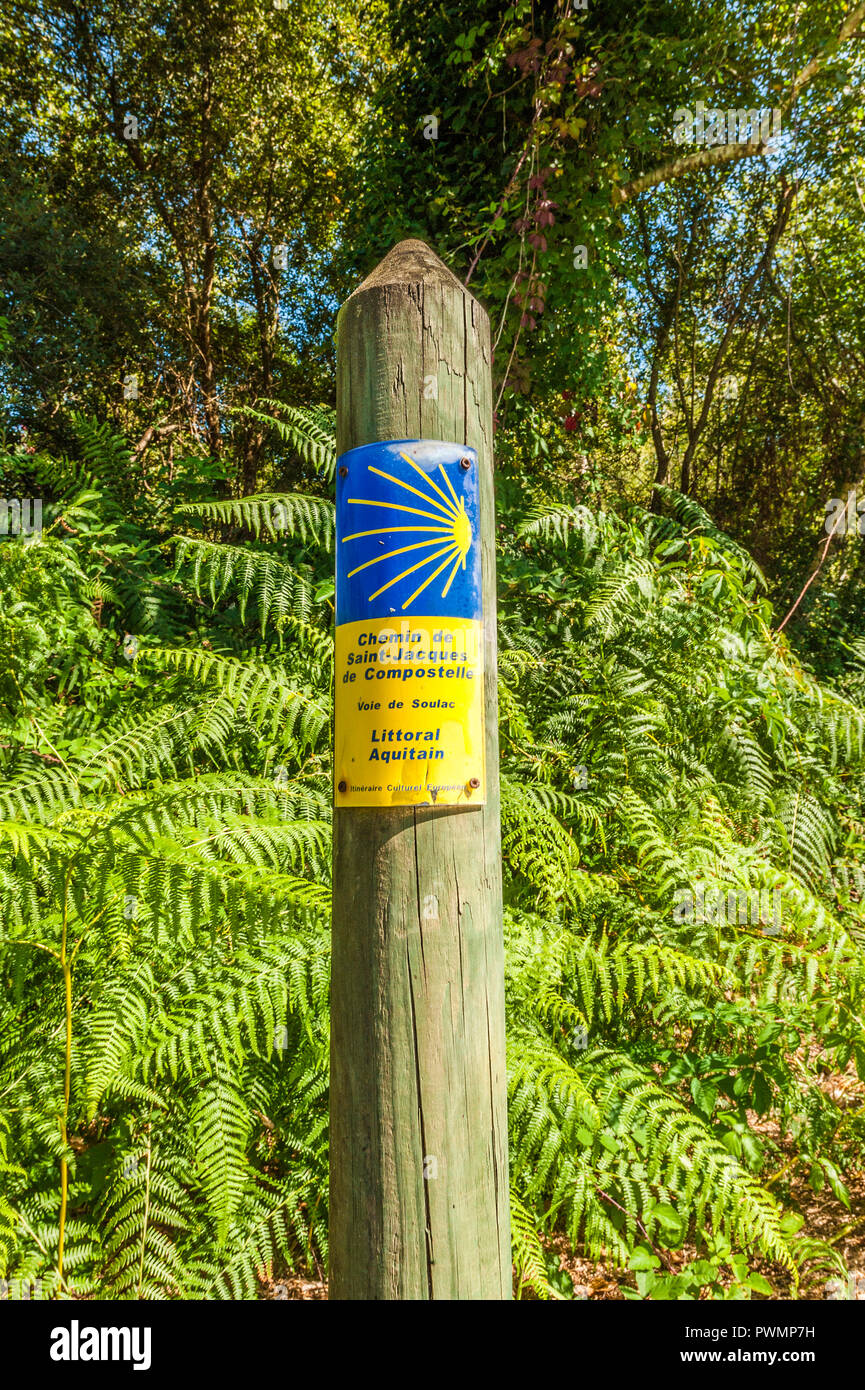 France, Gironde, Medoc, marker of the Way of Saint James in the ...