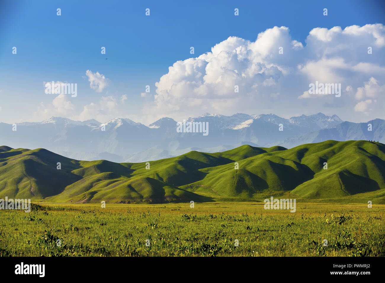 Mountain of Nalati Stock Photo - Alamy