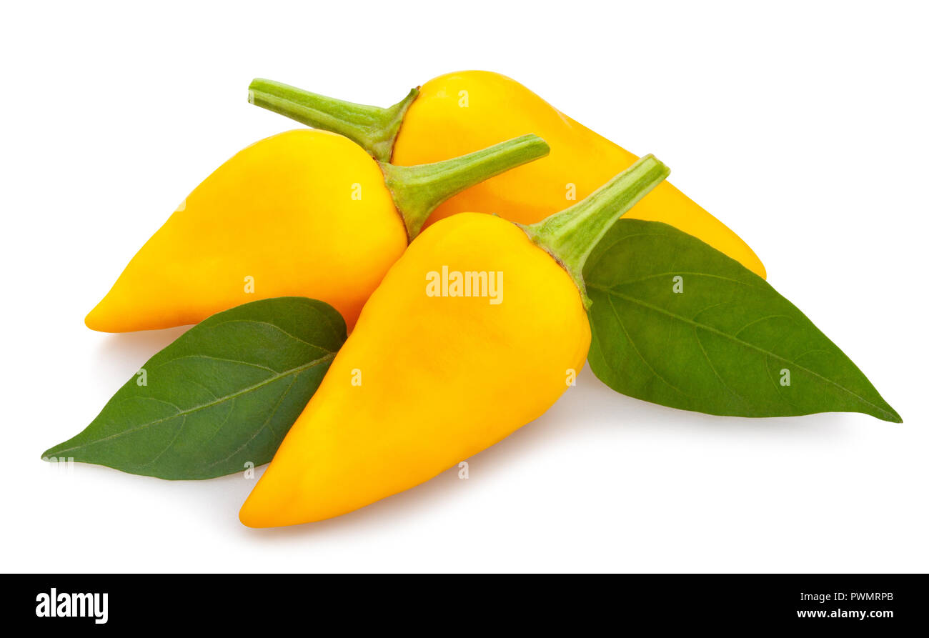 yellow chilli pepper path isolated Stock Photo - Alamy