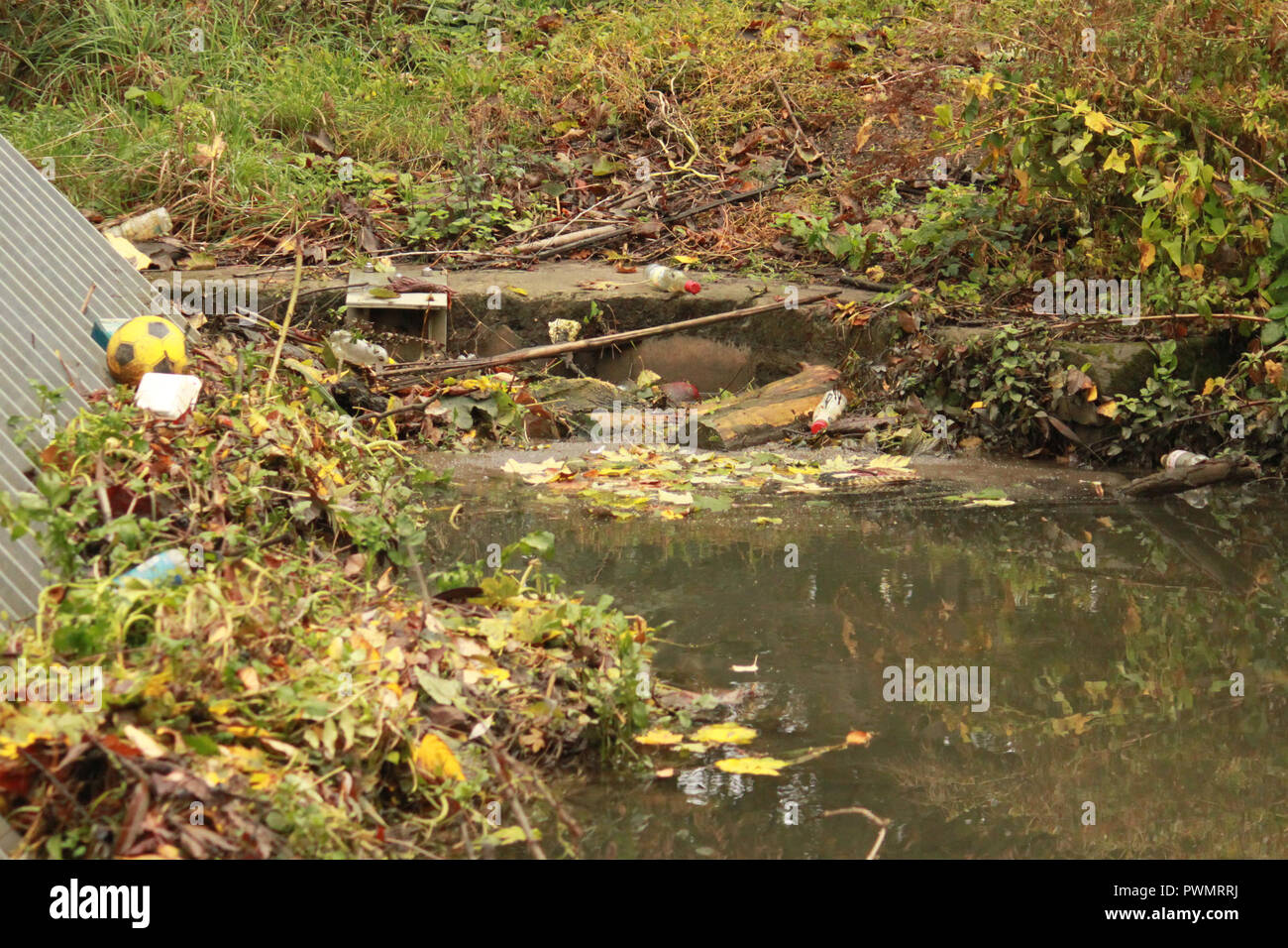 litter in a stream Stock Photo - Alamy