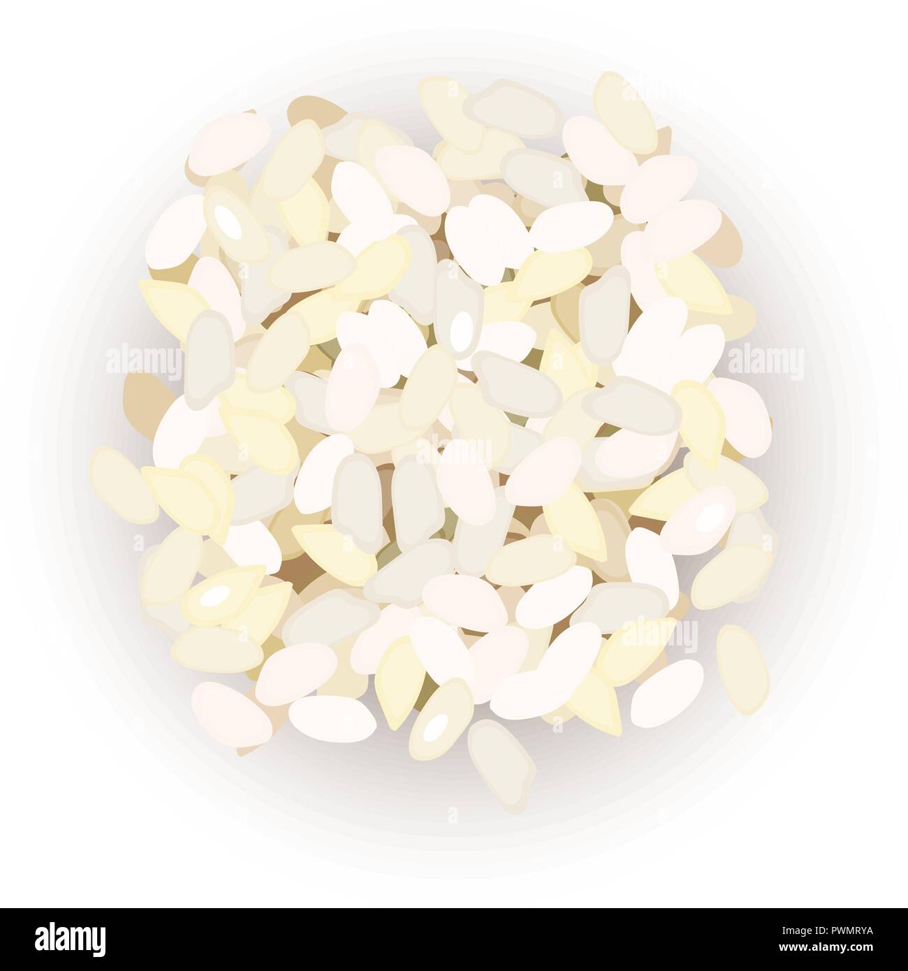 arborio rice grains. kernels. Vector illustration. For culinary, cafe ...
