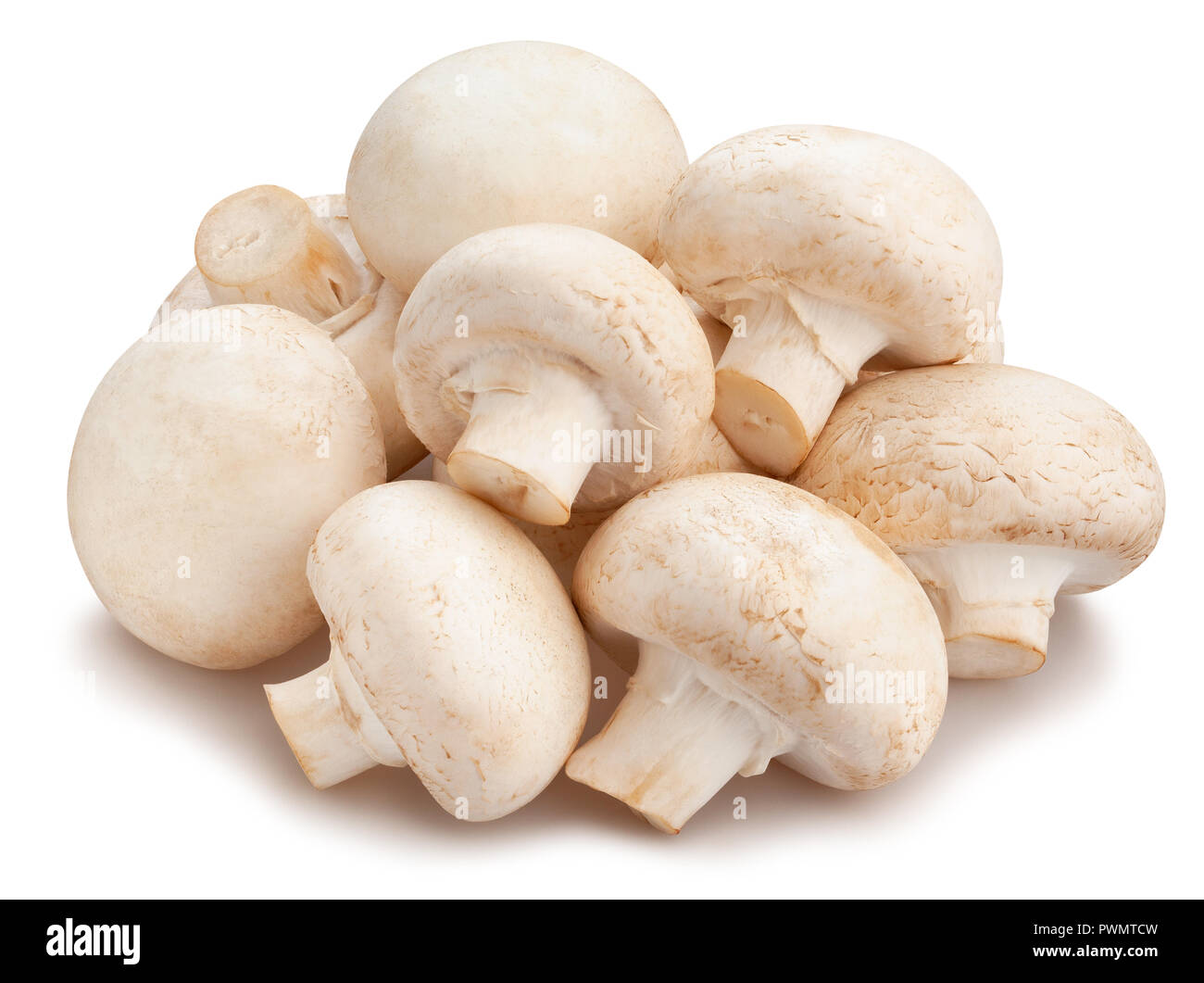 mushrooms path isolated Stock Photo - Alamy