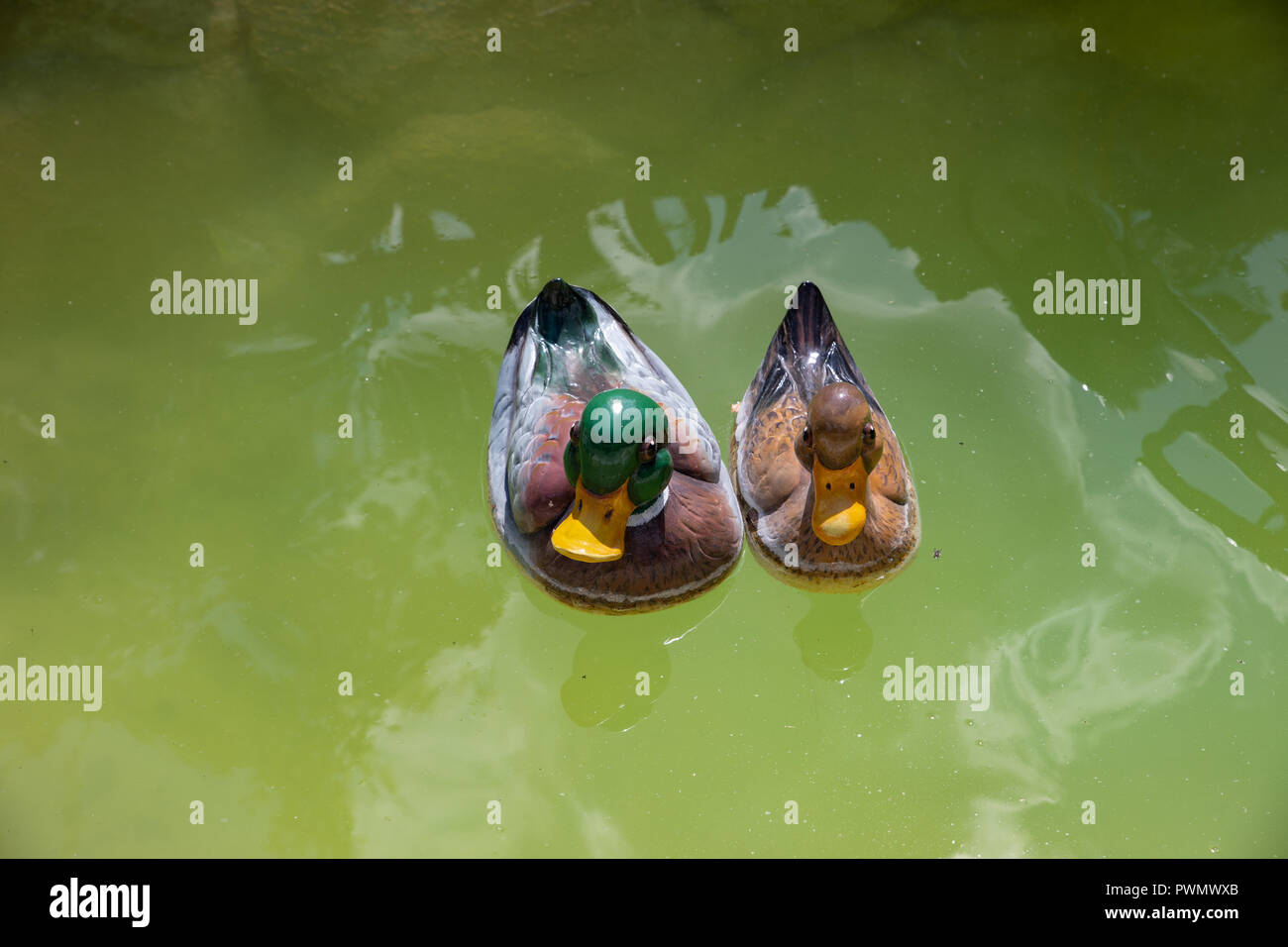 Green plastic barrier fence hi-res stock photography and images - Alamy