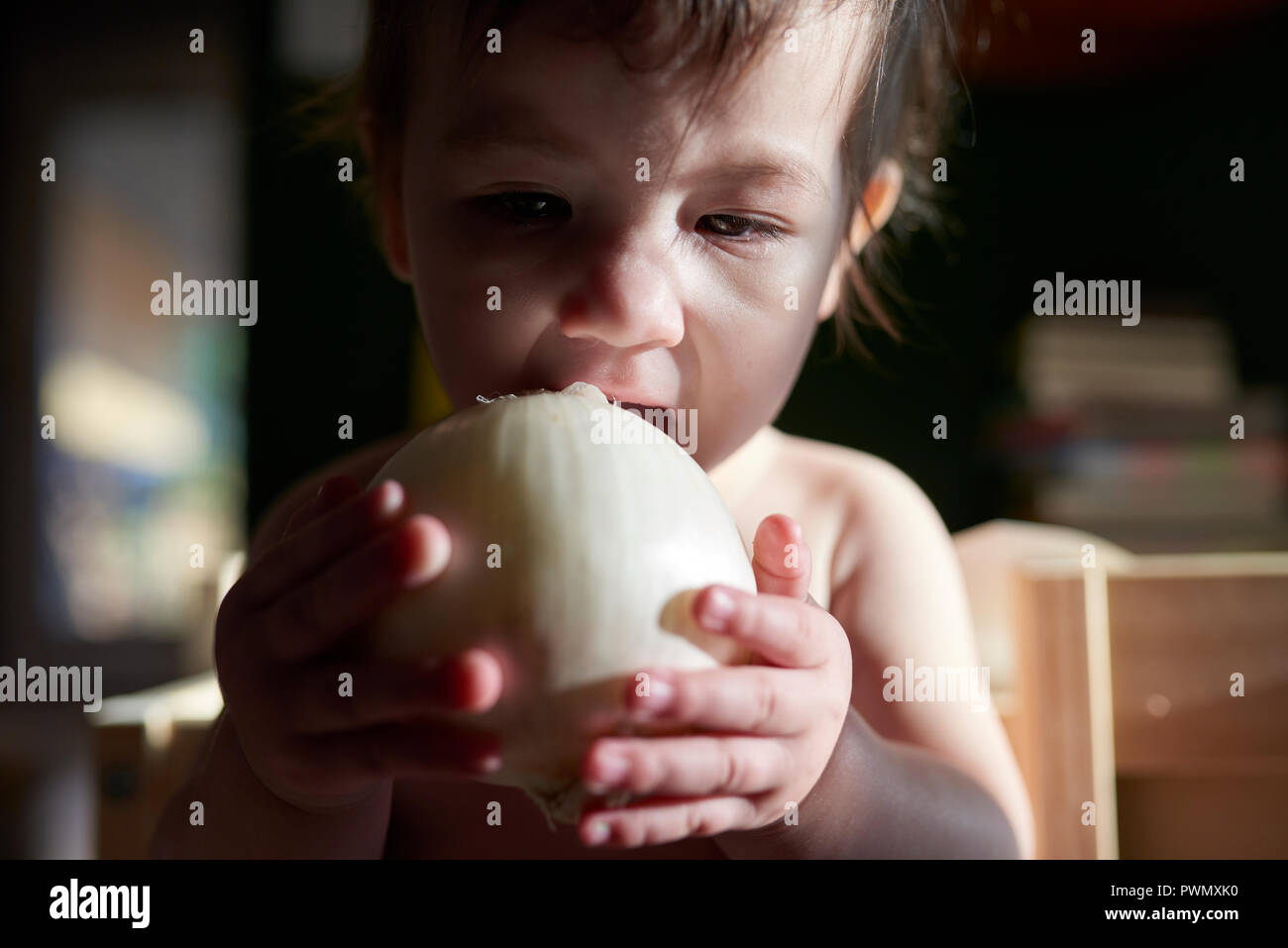 One year old toddler girl holding and investigating a raw onion in a ...