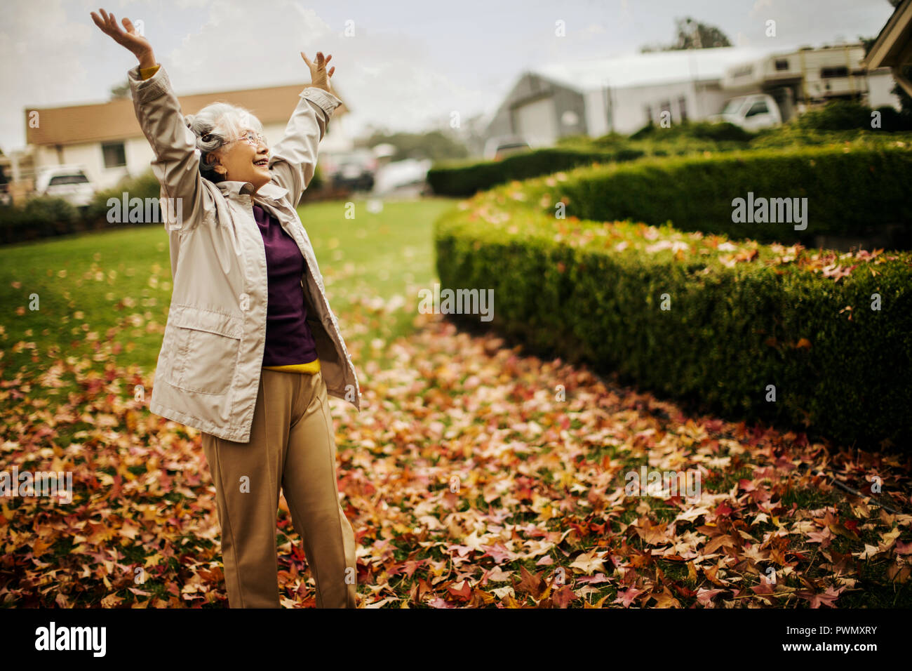 Senior woman garden hedge hi-res stock photography and images - Alamy