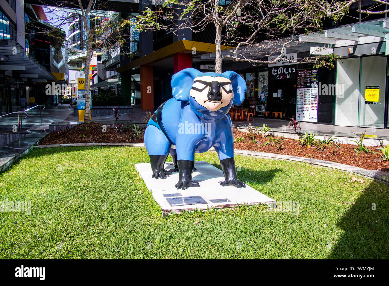 Gold Coast Queensland Australia 10 09 2018 dressed up painted koala ...