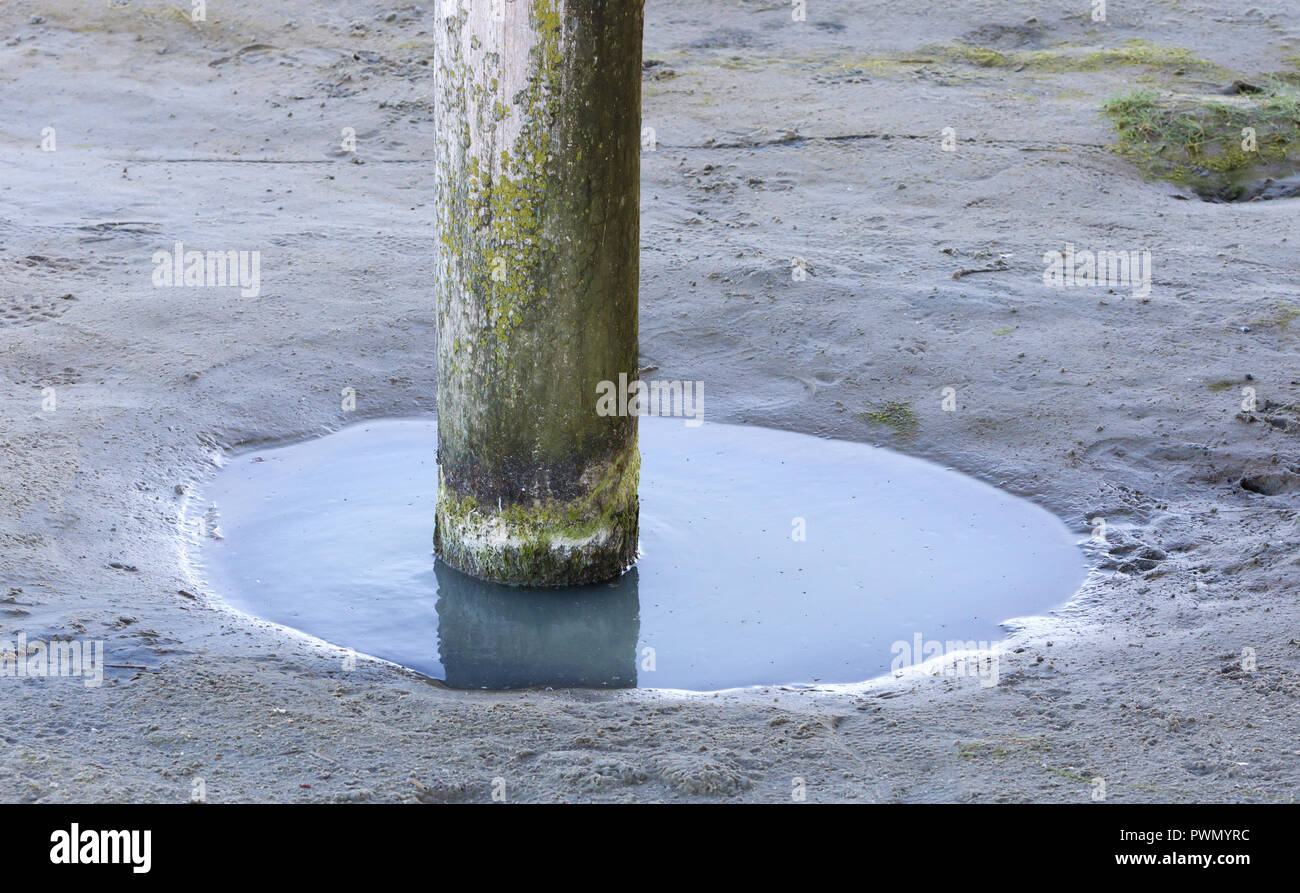Pole on the beach, small puddle of seawater Stock Photo - Alamy