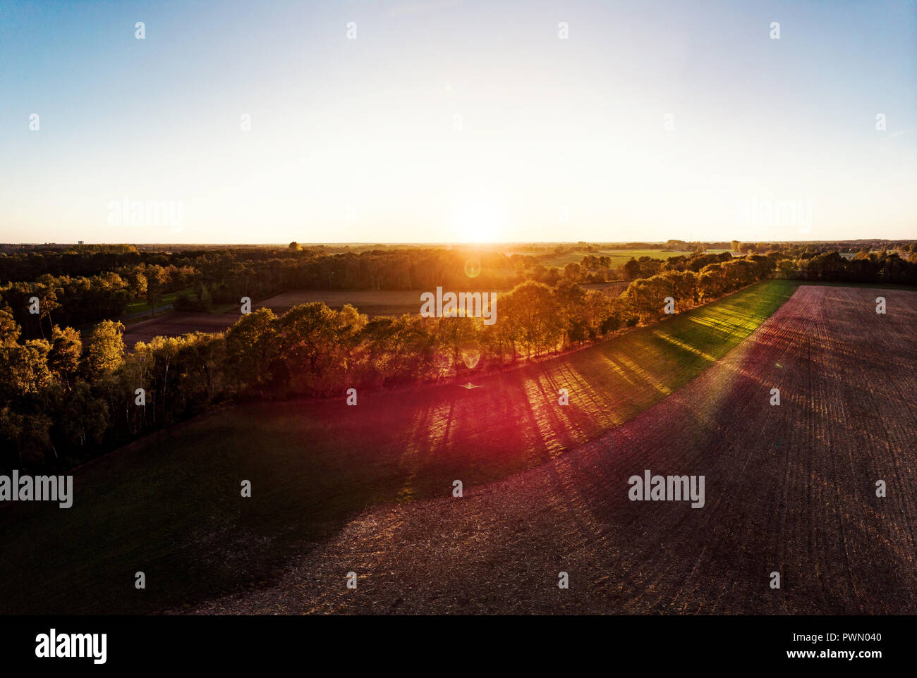 Drone golden hour forest hi-res stock photography and images - Alamy