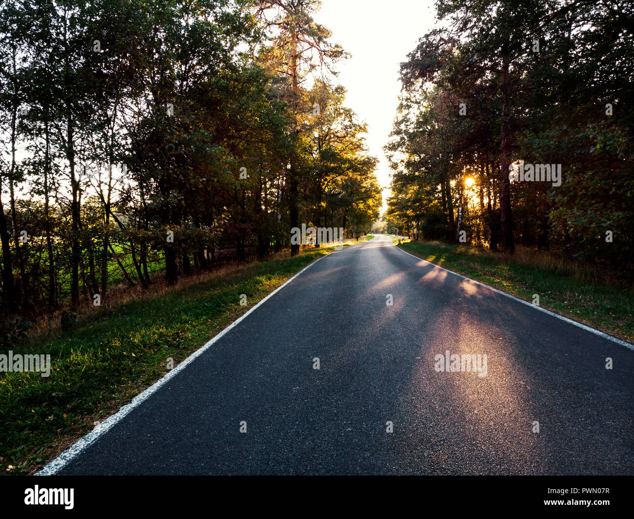 Road flares hi-res stock photography and images - Alamy