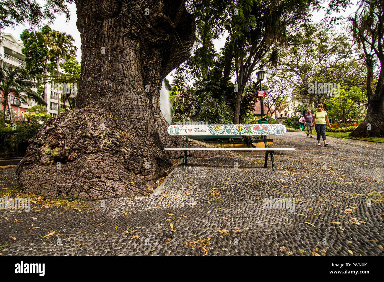 Funchal, Madeira - July, 2018: Lake at Funchal park in Madeira Stock ...
