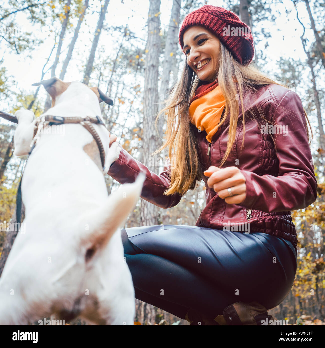 Woman walking dog in woods hi-res stock photography and images - Alamy