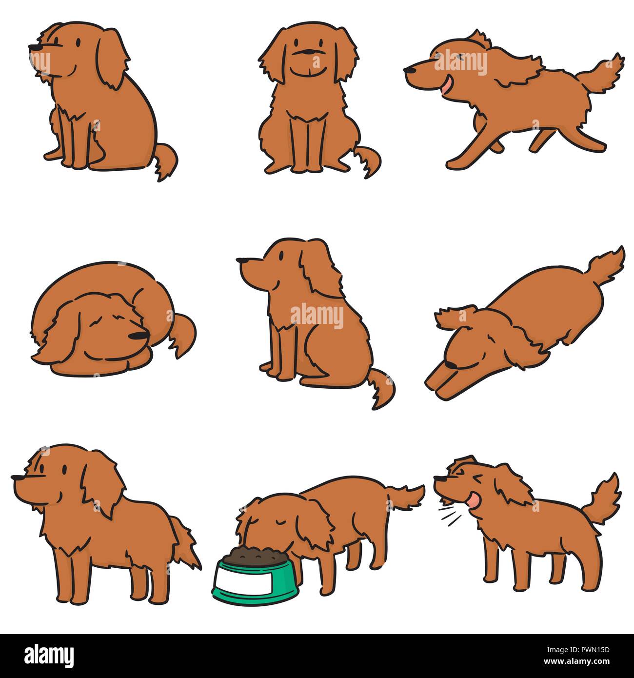 Creative drawing golden retriever hi-res stock photography and images ...
