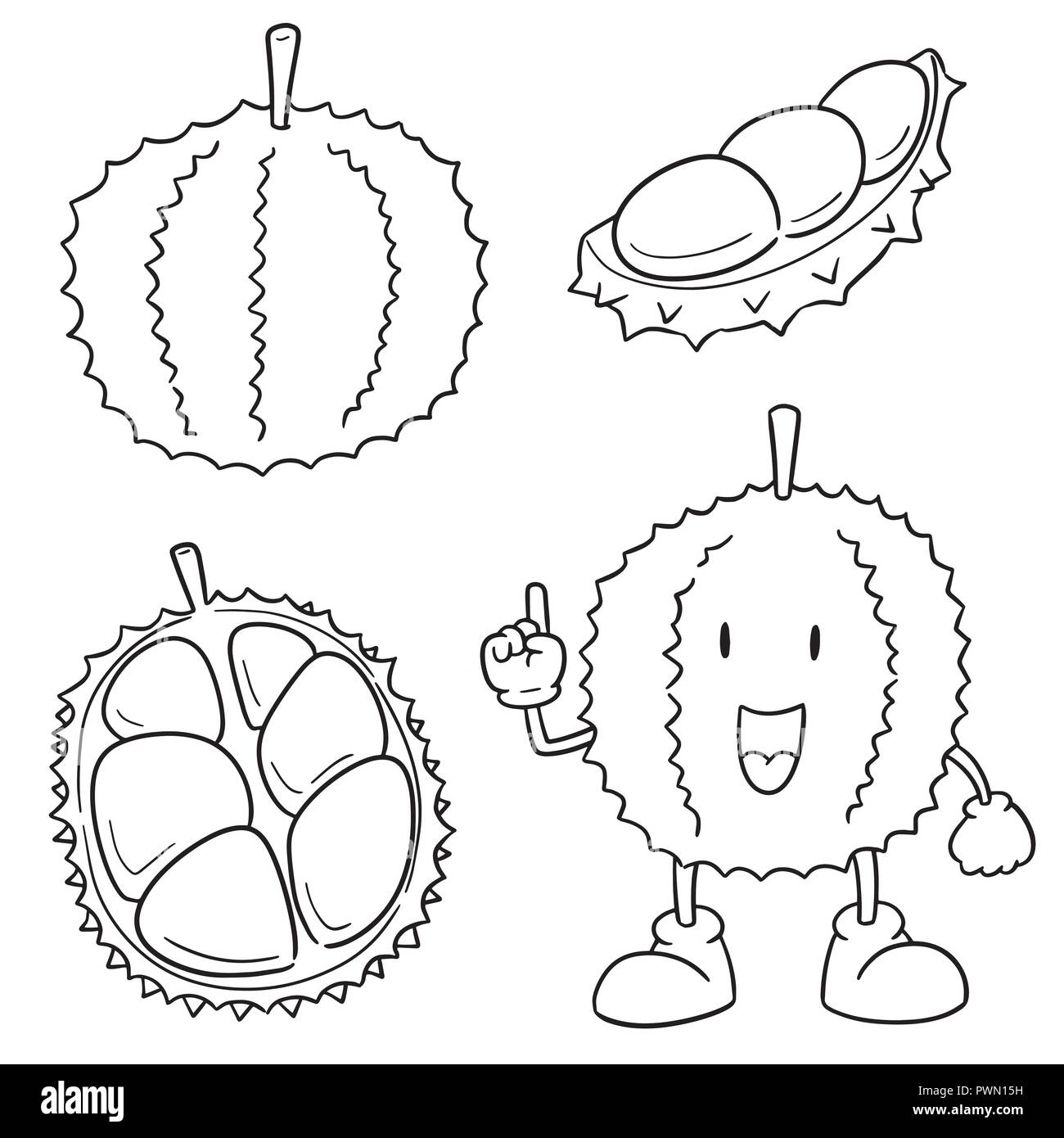 vector set of durian Stock Vector Image & Art - Alamy