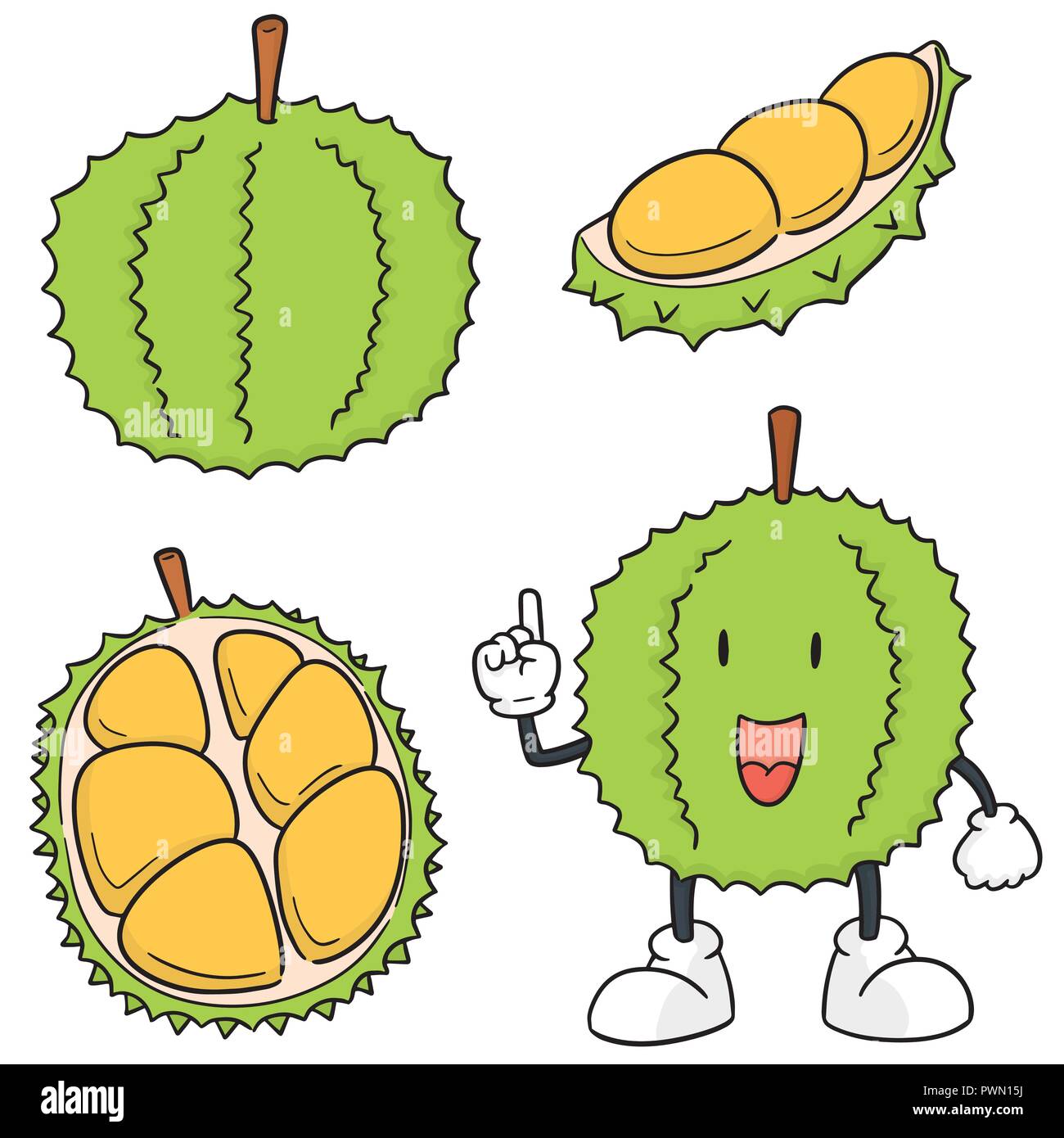 Durian line drawing hi-res stock photography and images - Alamy