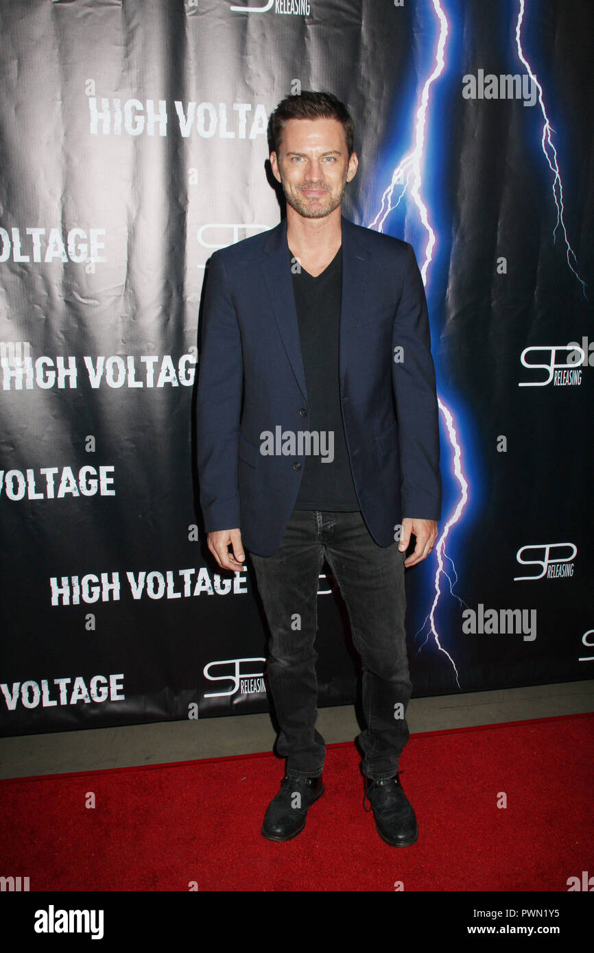 R. Brandon Johnson 10/16/2018 The Los Angeles premiere of "High Voltage ...