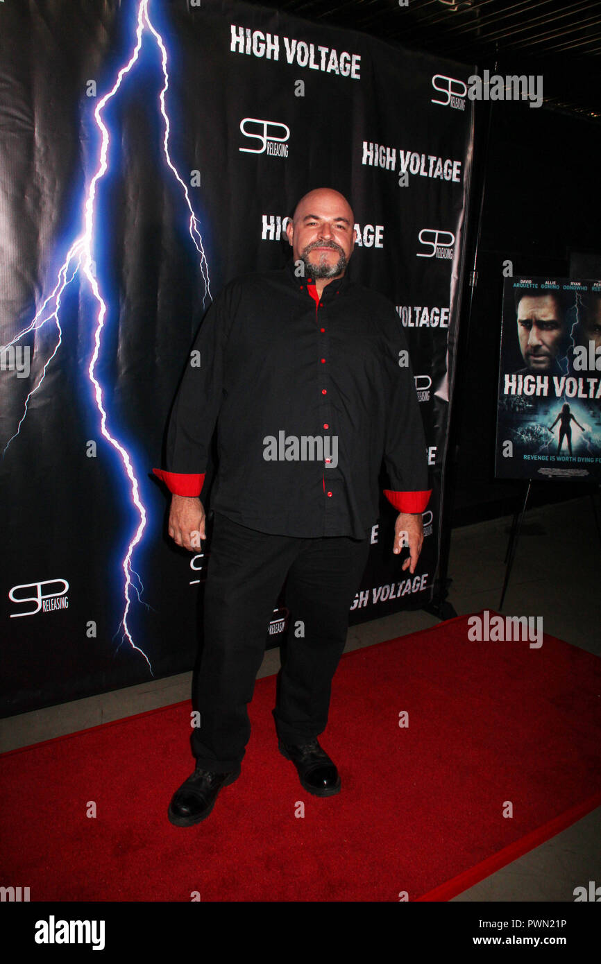 Alex Noble 10/16/2018 The Los Angeles premiere of "High Voltage" held ...