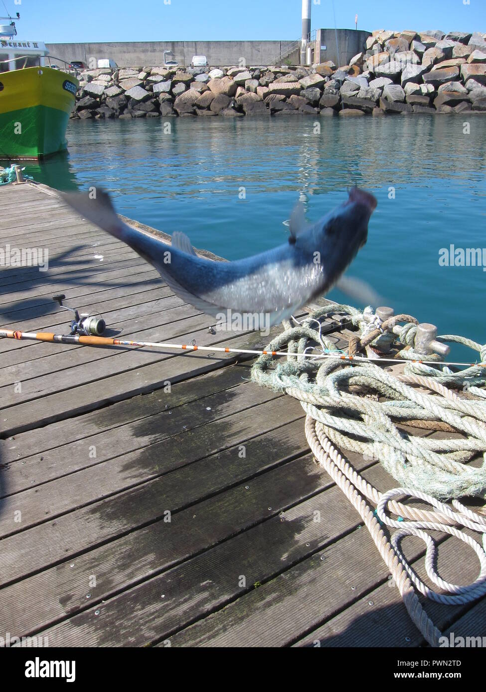 sea bream fishing on the pontoons in Brittany Stock Photo - Alamy