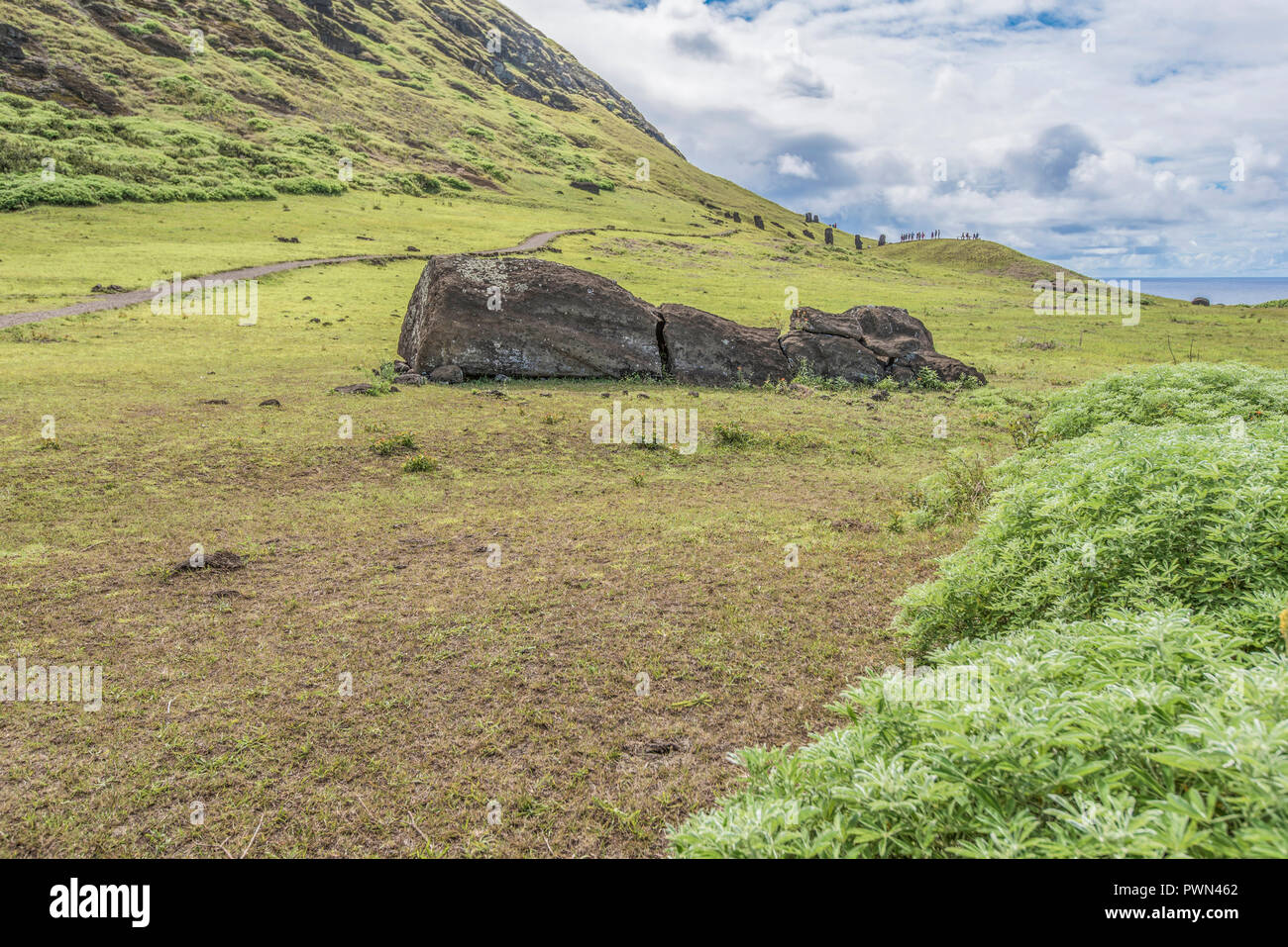 Rano Raraku volcano and the fallen moai Stock Photo - Alamy