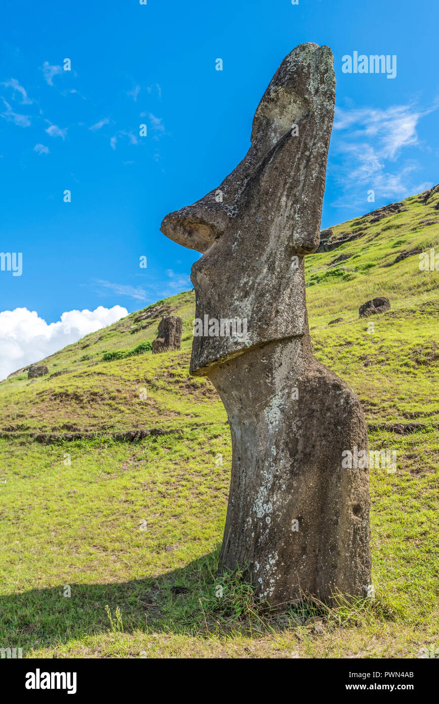 Moai in profile on the hill of the Rano Raraku volcano Stock Photo - Alamy