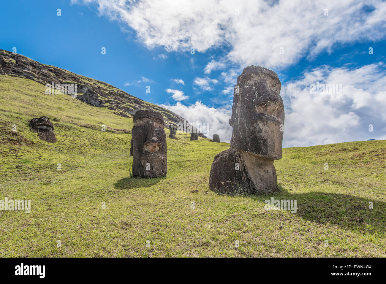 Front view of a couple of underground moai on the extinct volcano Rano ...