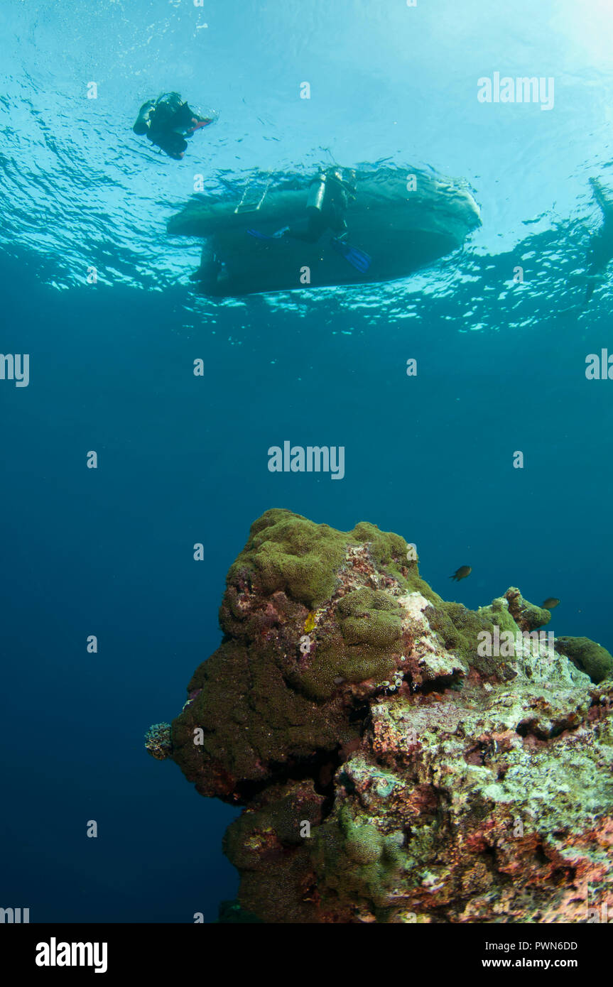 Divers and boat, with coral-covered rock outcrop in foreground, Run ...
