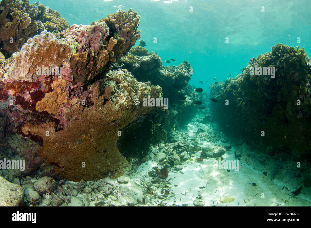 Sand Channels High Resolution Stock Photography and Images - Alamy