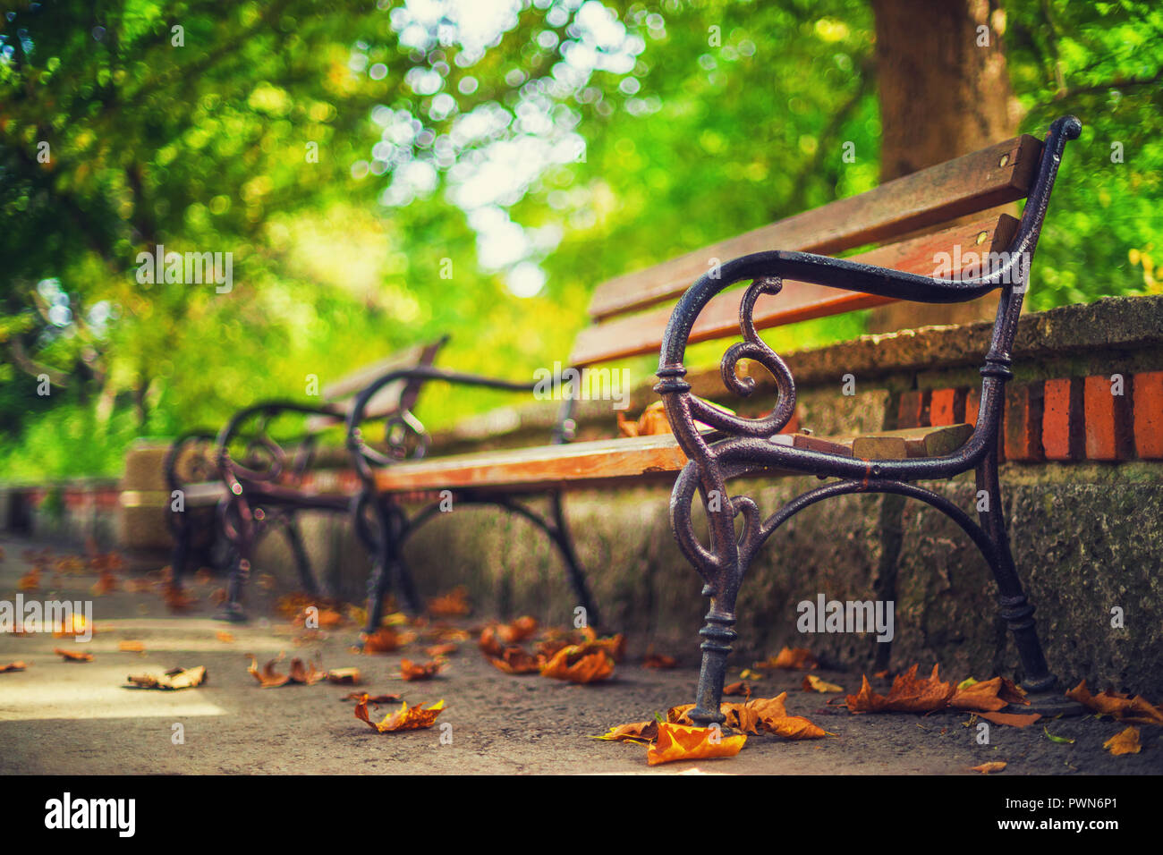 Fall leaves and park bench hi-res stock photography and images - Alamy