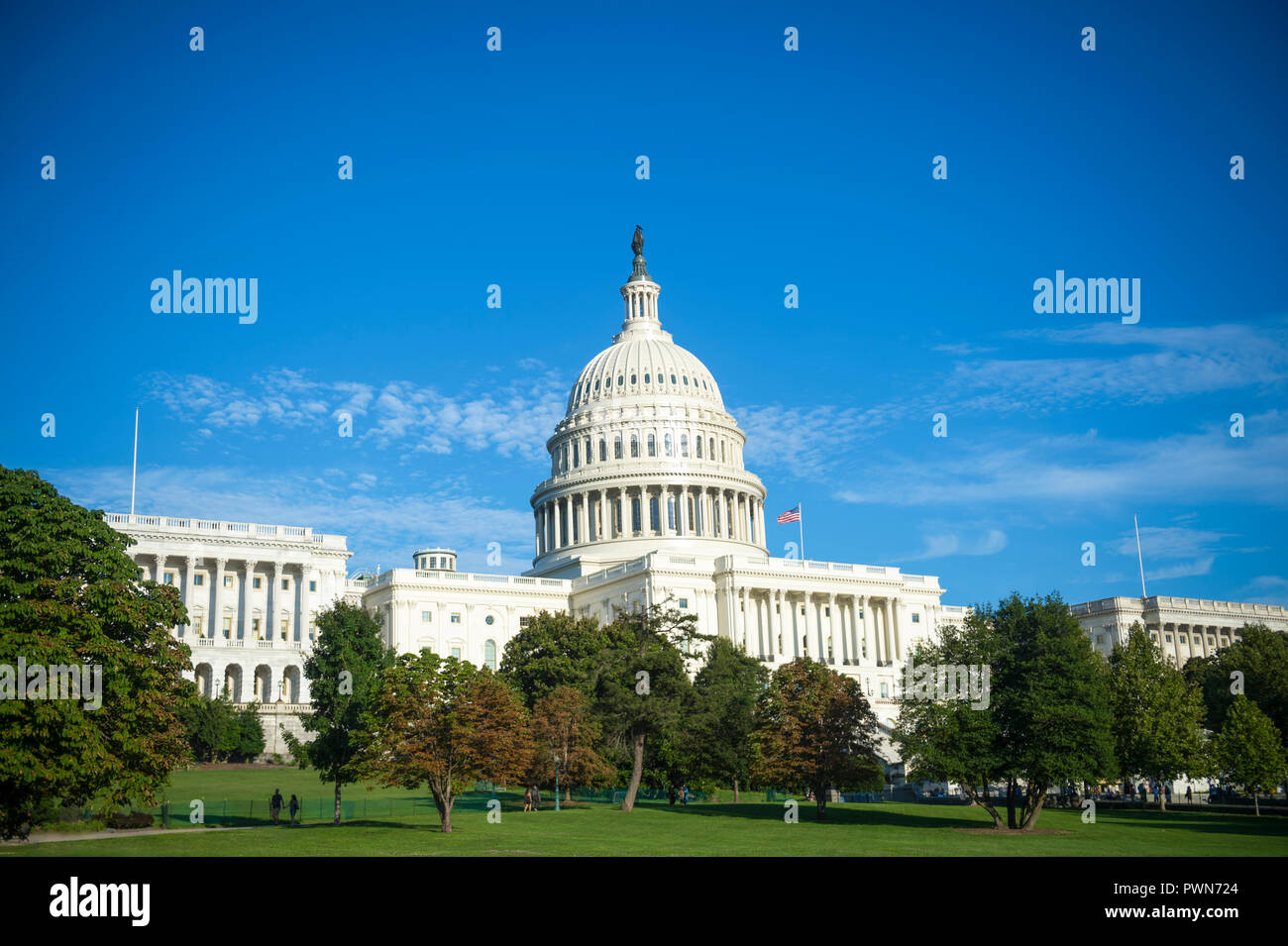 Portrait of the US Capitol building with fresh green grass under bright ...