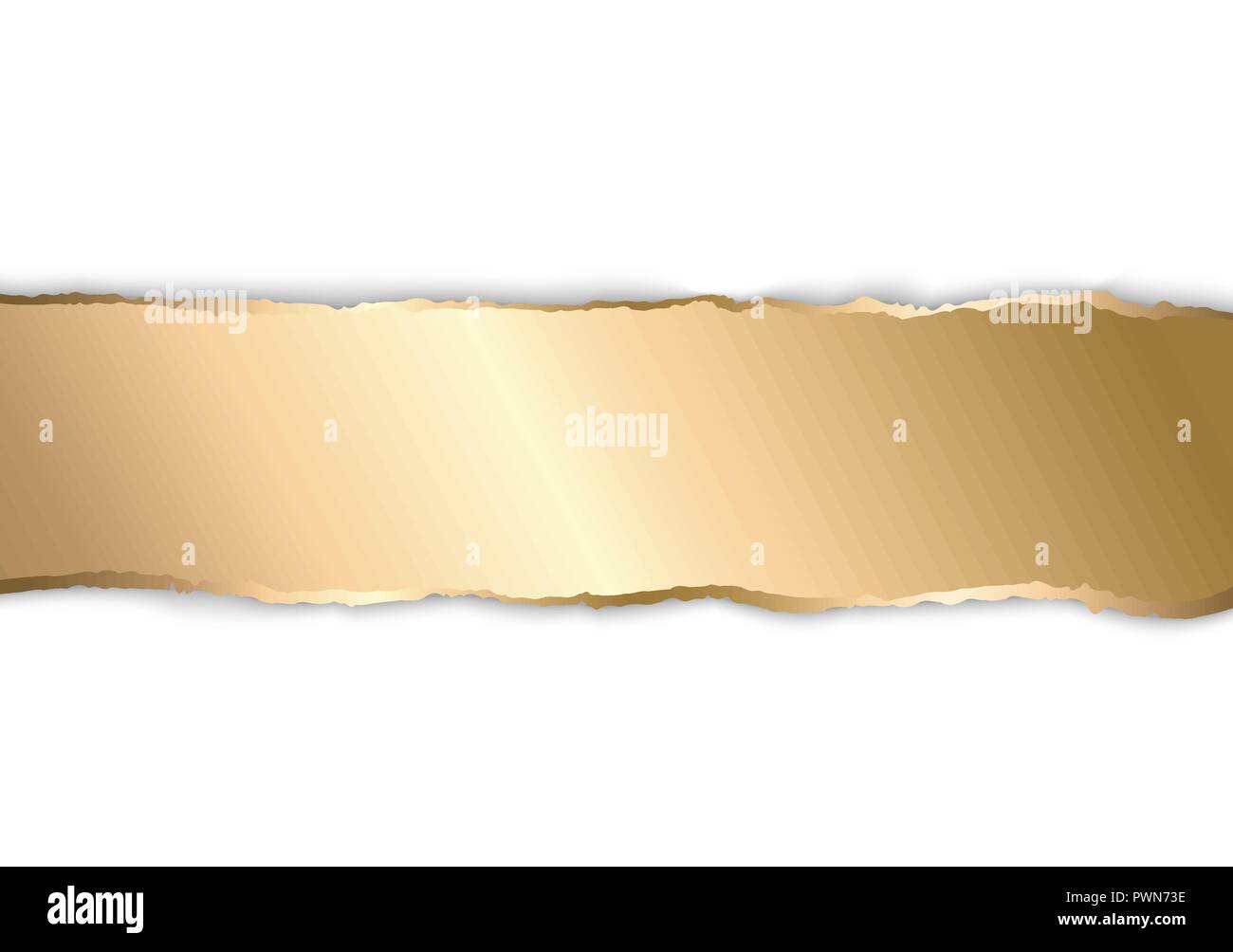 Gold and white torn paper. Template background Stock Vector Image & Art ...
