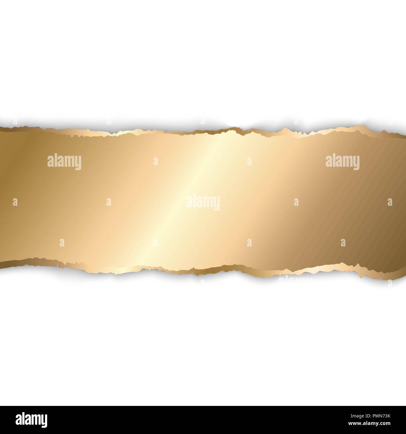 Gold and white torn paper. Template background Stock Vector Image & Art ...